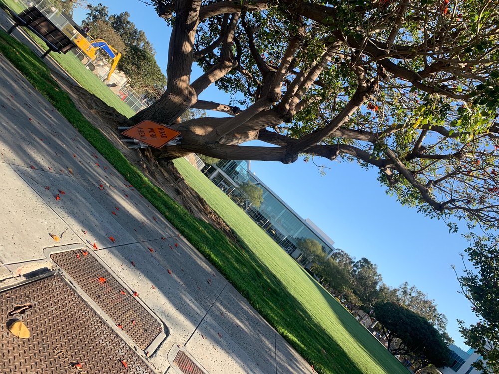 CSUDH UNIVERSITY BOOKSTORE - Carson CA - Hours, Directions, Reviews ...