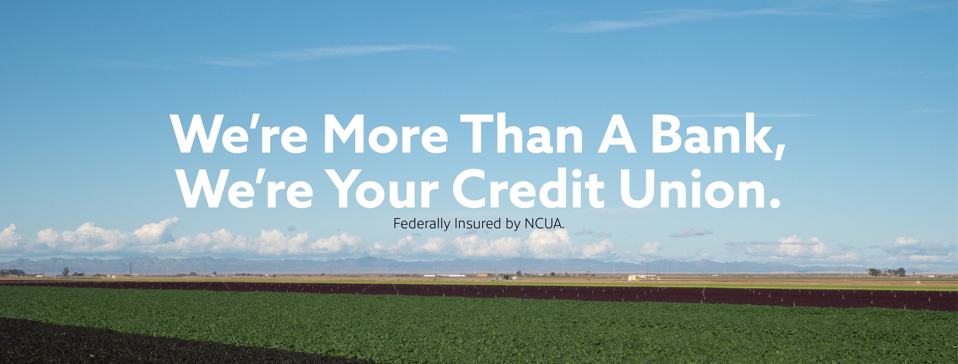 FIRST IMPERIAL CREDIT UNION - El Centro CA - Hours, Directions, Reviews ...