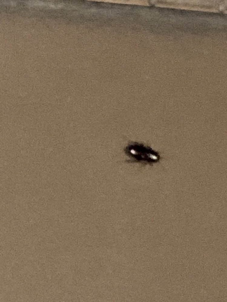 IN-SHAPE HEALTH CLUBS - 3001 Dover Ave, Fairfield CA - Hours ...