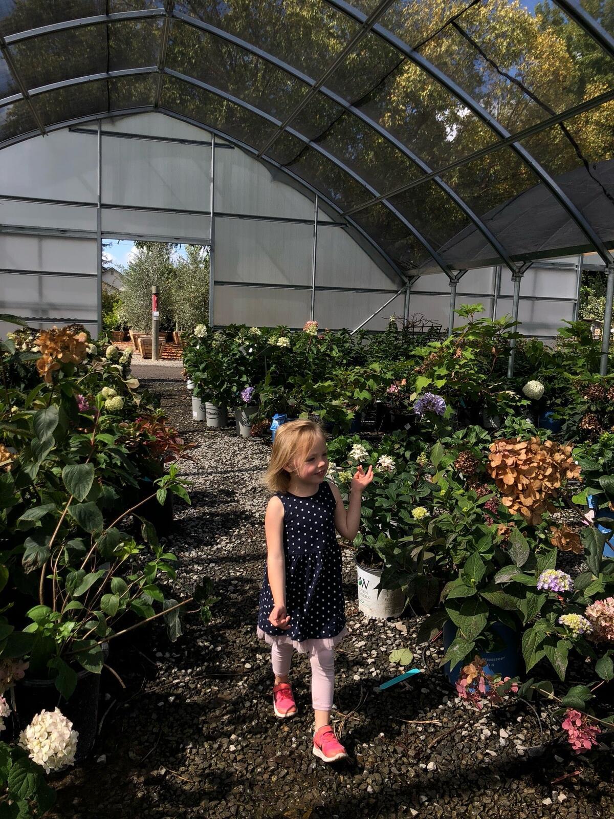 URBAN TREE FARM NURSERY - Fulton CA - Hours, Directions, Reviews ...