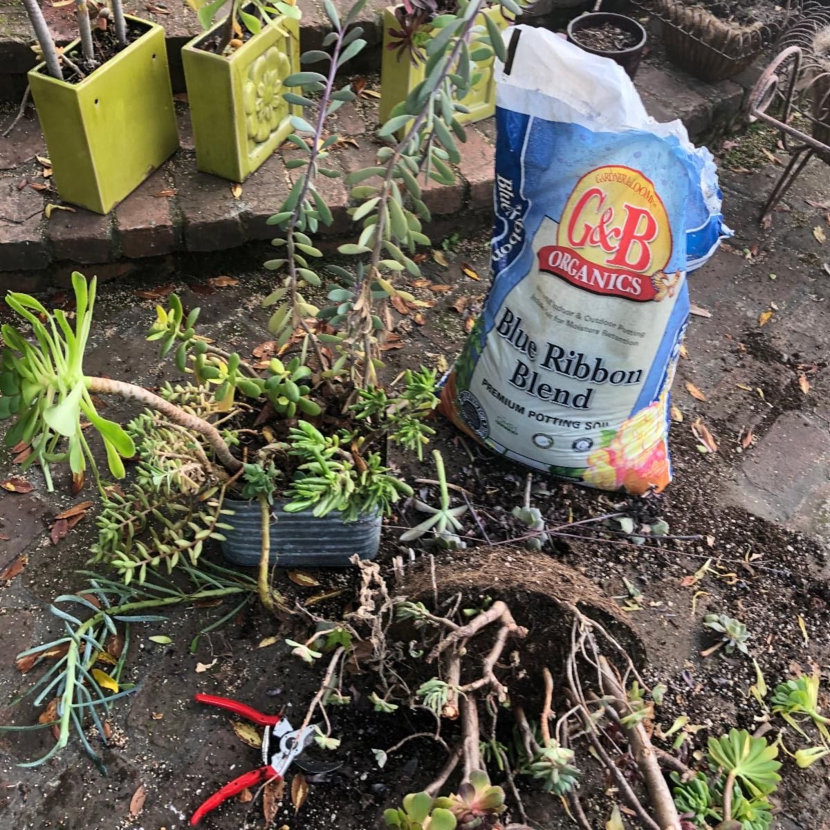 HIGH-HAND NURSERY - Loomis CA - Hours, Directions, Reviews - Loc8NearMe