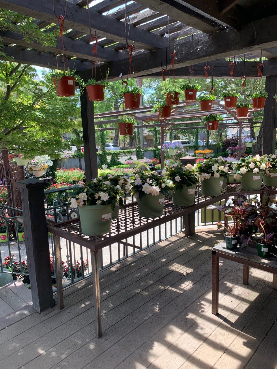 HIGH-HAND NURSERY - Loomis CA - Hours, Directions, Reviews - Loc8NearMe