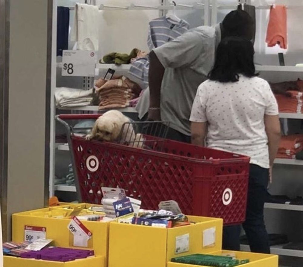 TARGET - 280 Spreckels Ave, Manteca CA - Hours, Directions, Reviews ...