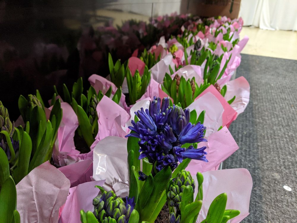 MISSION RANCH MARKET - Mission Viejo CA - Hours, Directions, Reviews ...