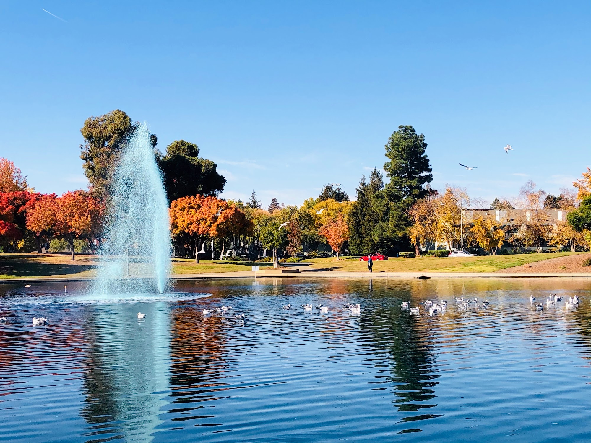 SUNNYVALE COMMUNITY CENTER - Sunnyvale CA - Hours, Directions, Reviews ...