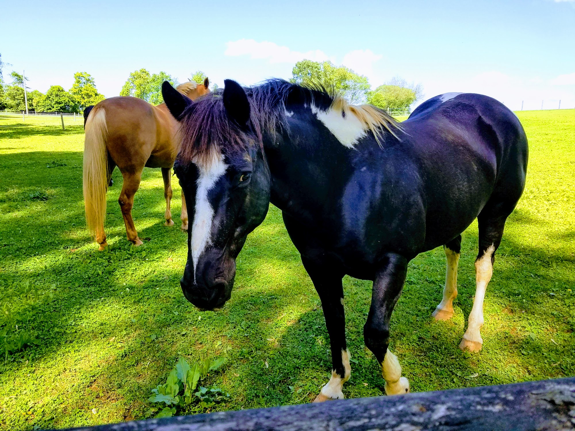 HY POINT DAIRY - Wilmington DE - Hours, Directions, Reviews - Loc8NearMe