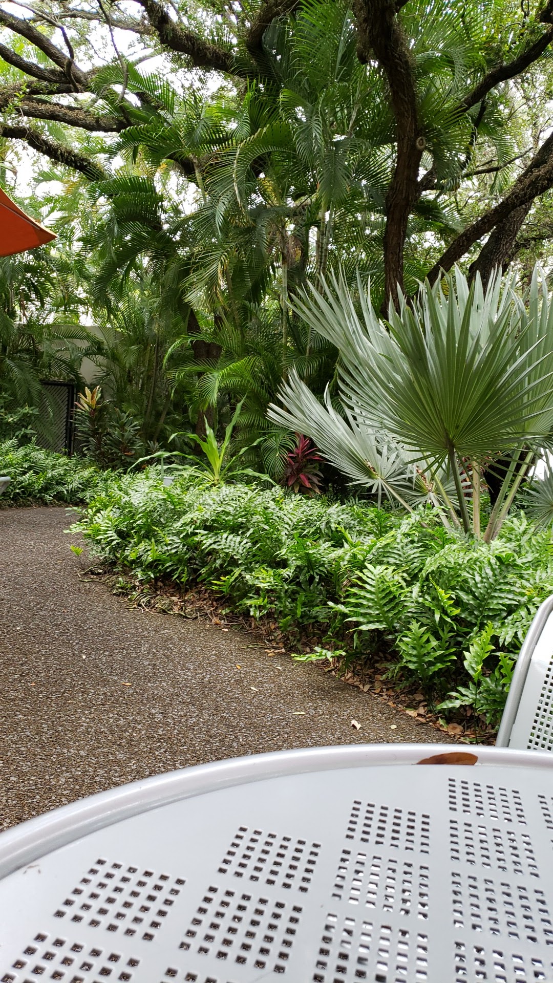 DESAI SETHI MEDICAL CENTER - Miami FL - Hours, Directions, Reviews ...