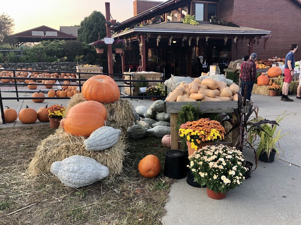 ATKINS FARMS COUNTRY MARKET - Amherst MA - Hours, Directions, Reviews ...