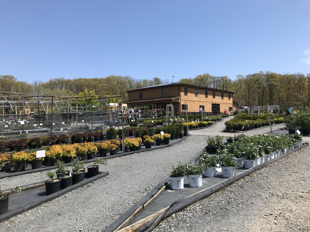 SUN NURSERIES - Woodbine MD - Hours, Directions, Reviews - Loc8NearMe