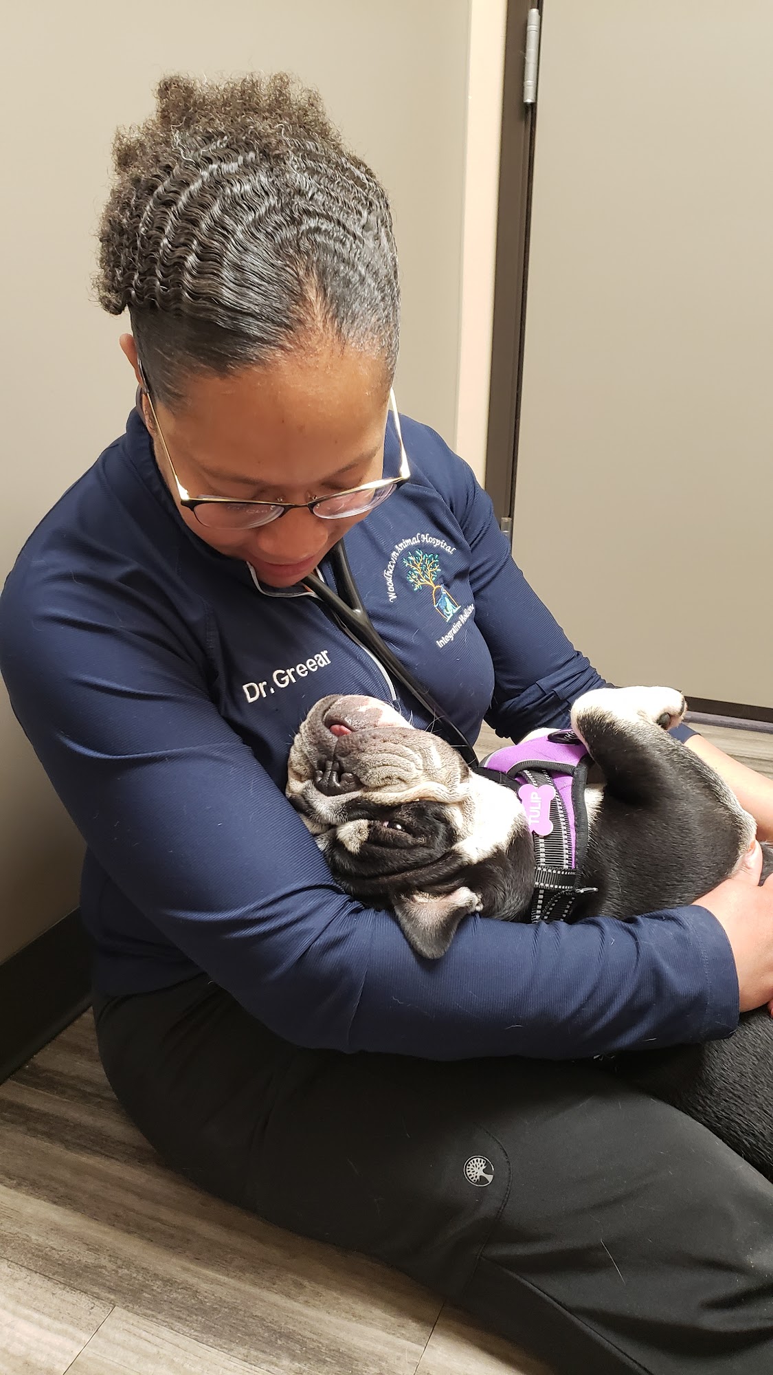 WOODHAVEN ANIMAL HOSPITAL - Woodhaven MI - Hours, Directions, Reviews ...