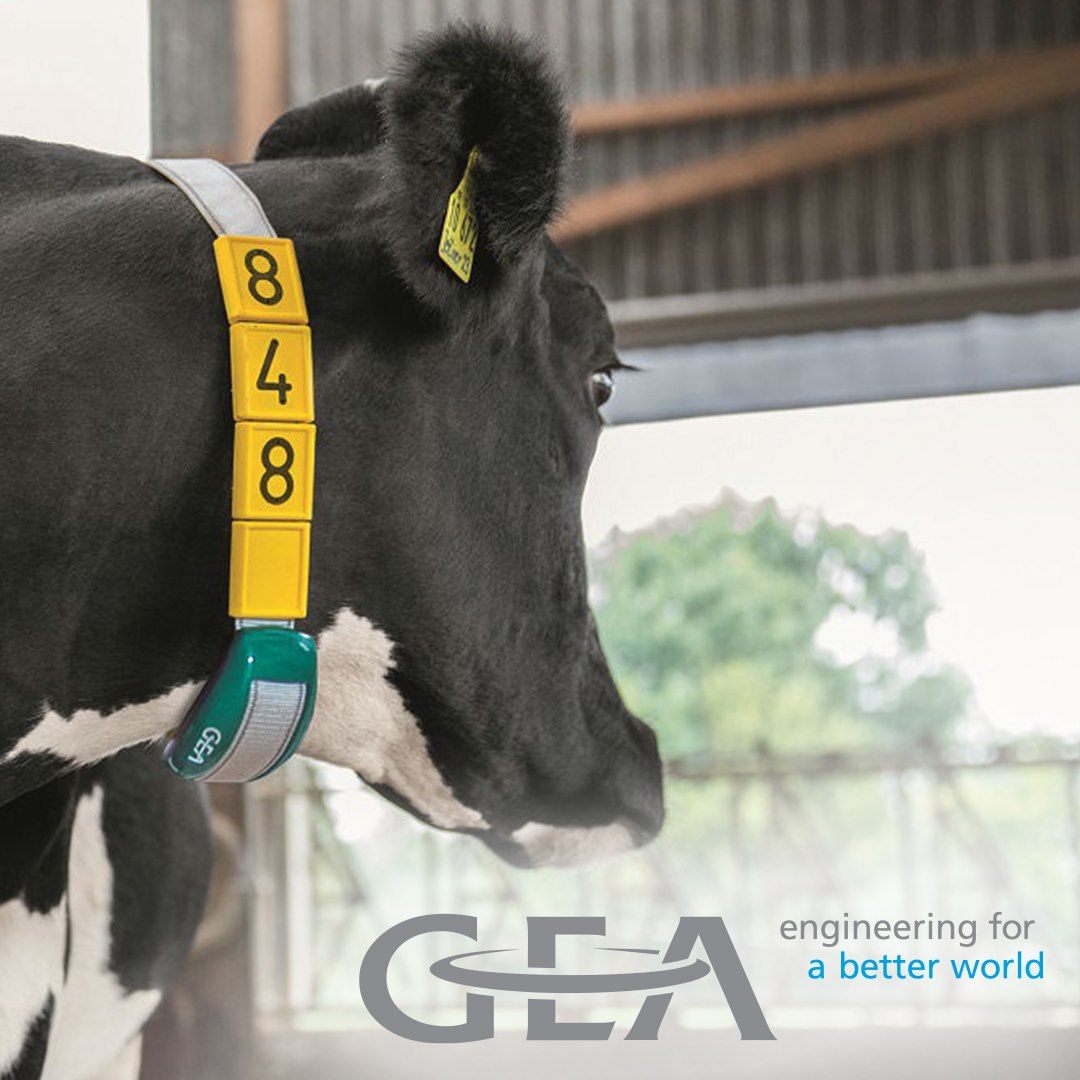 LEEDSTONE, INC. - Melrose MN - Hours, Directions, Reviews - Loc8NearMe