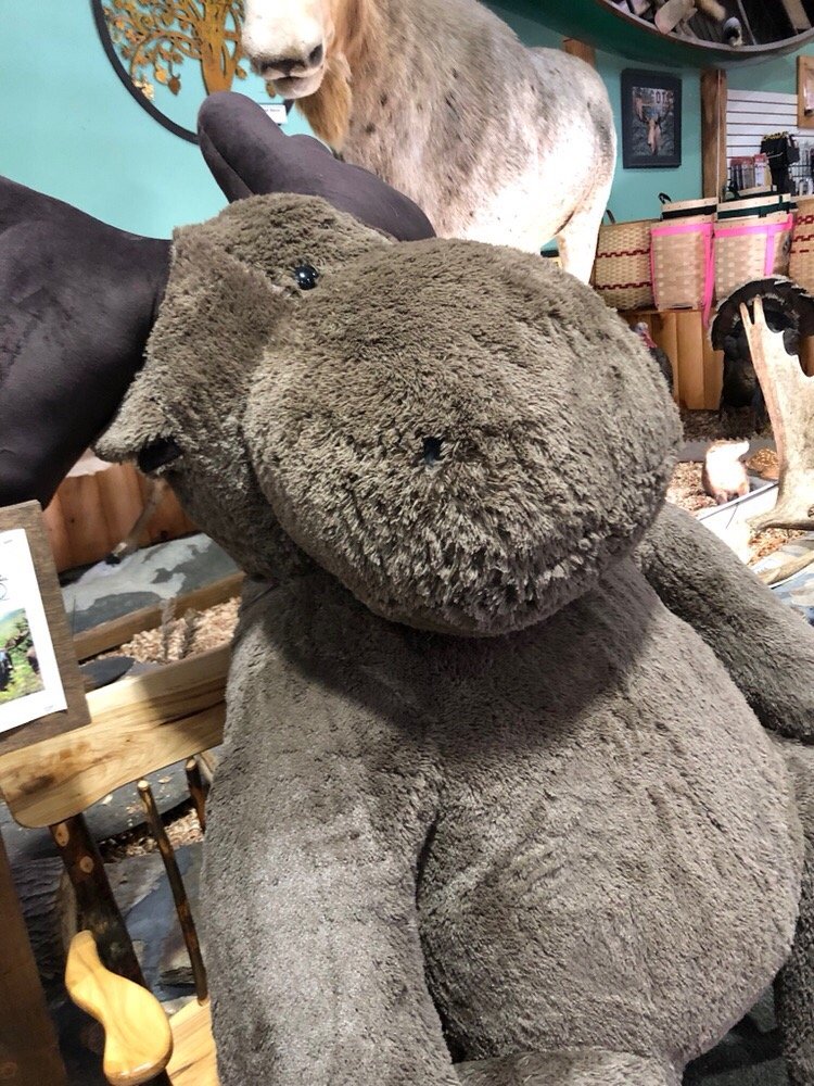 L.L. COTE - Errol NH - Hours, Directions, Reviews - Loc8NearMe