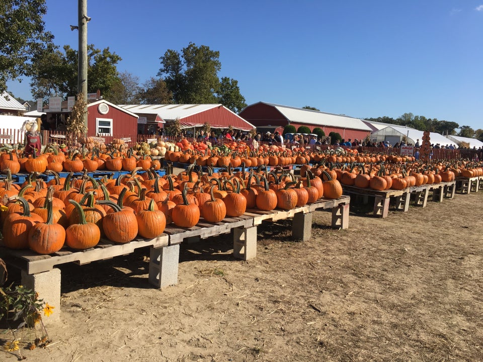 DUFFIELD'S FARM MARKET - Sewell NJ - Hours, Directions, Reviews ...