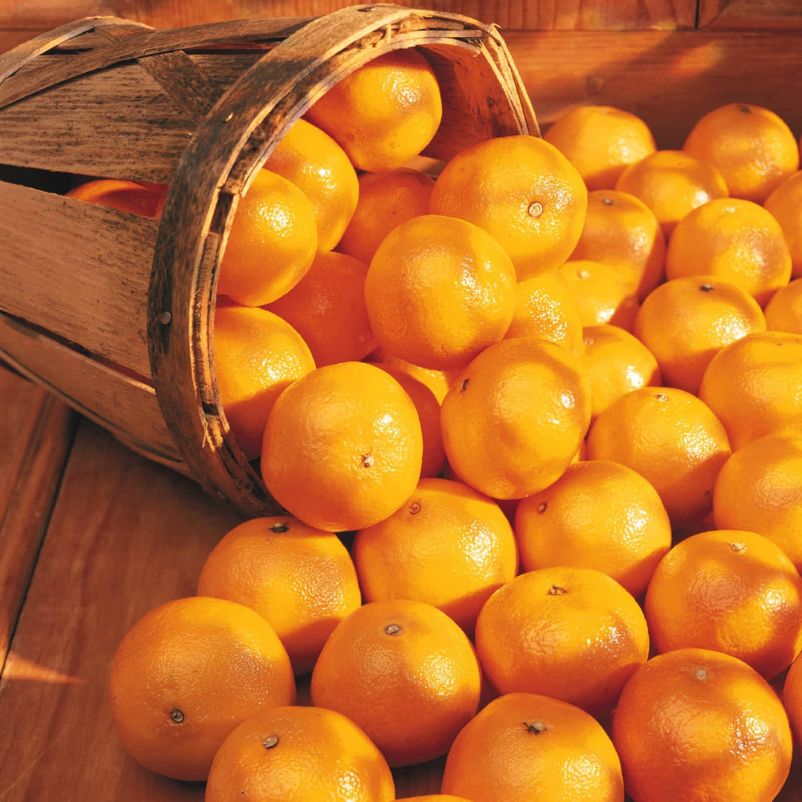 DOMINION MURPHY SQUARE - Corner Brook NL - Hours, Directions, Reviews ...