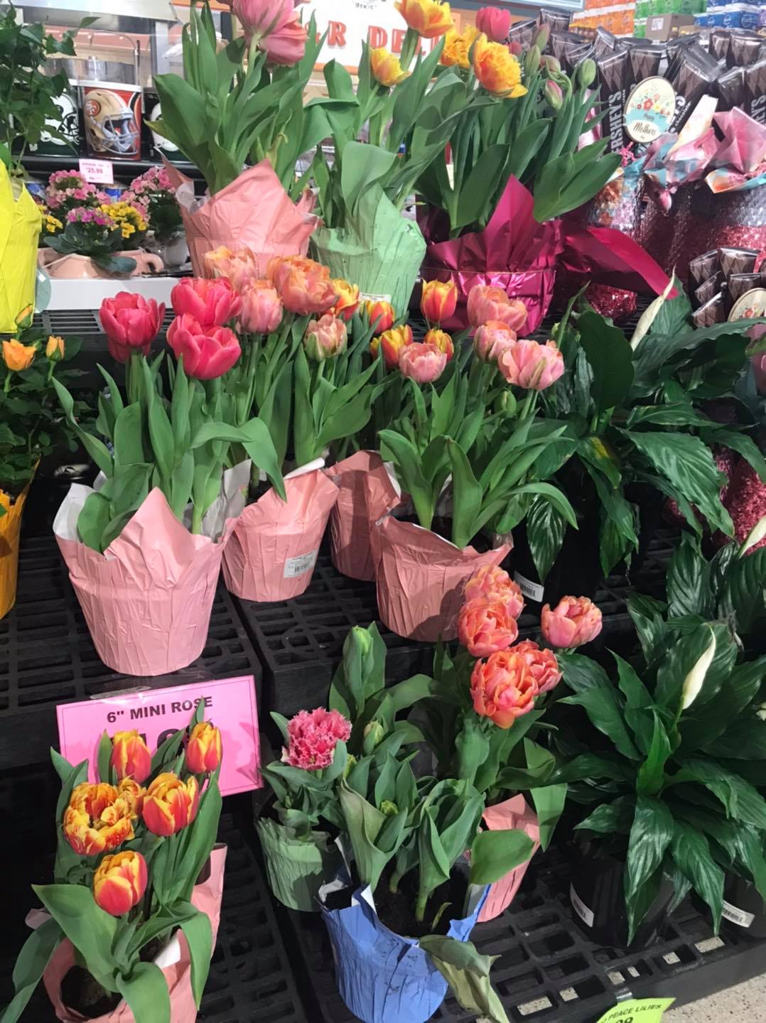 T&R MARKET - Gallup NM - Hours, Directions, Reviews - Loc8NearMe