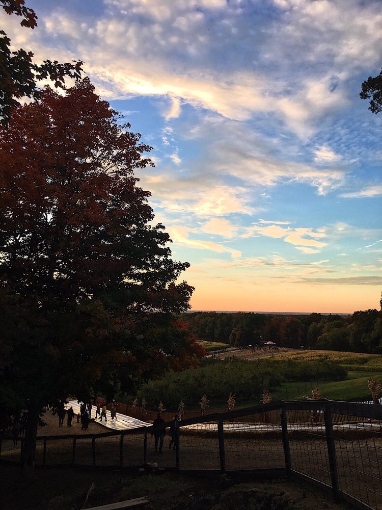 MAPLESIDE FARMS - Brunswick OH - Hours, Directions, Reviews - Loc8NearMe