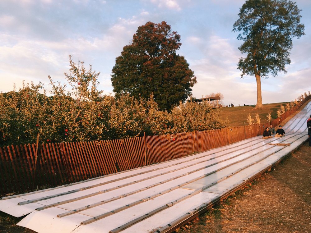 MAPLESIDE FARMS - Brunswick OH - Hours, Directions, Reviews - Loc8NearMe