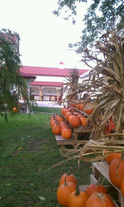 GARVER FAMILY FARM MARKET - Middletown OH - Hours, Directions, Reviews ...