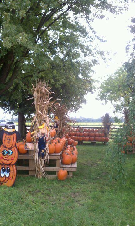 GARVER FAMILY FARM MARKET - Middletown OH - Hours, Directions, Reviews ...