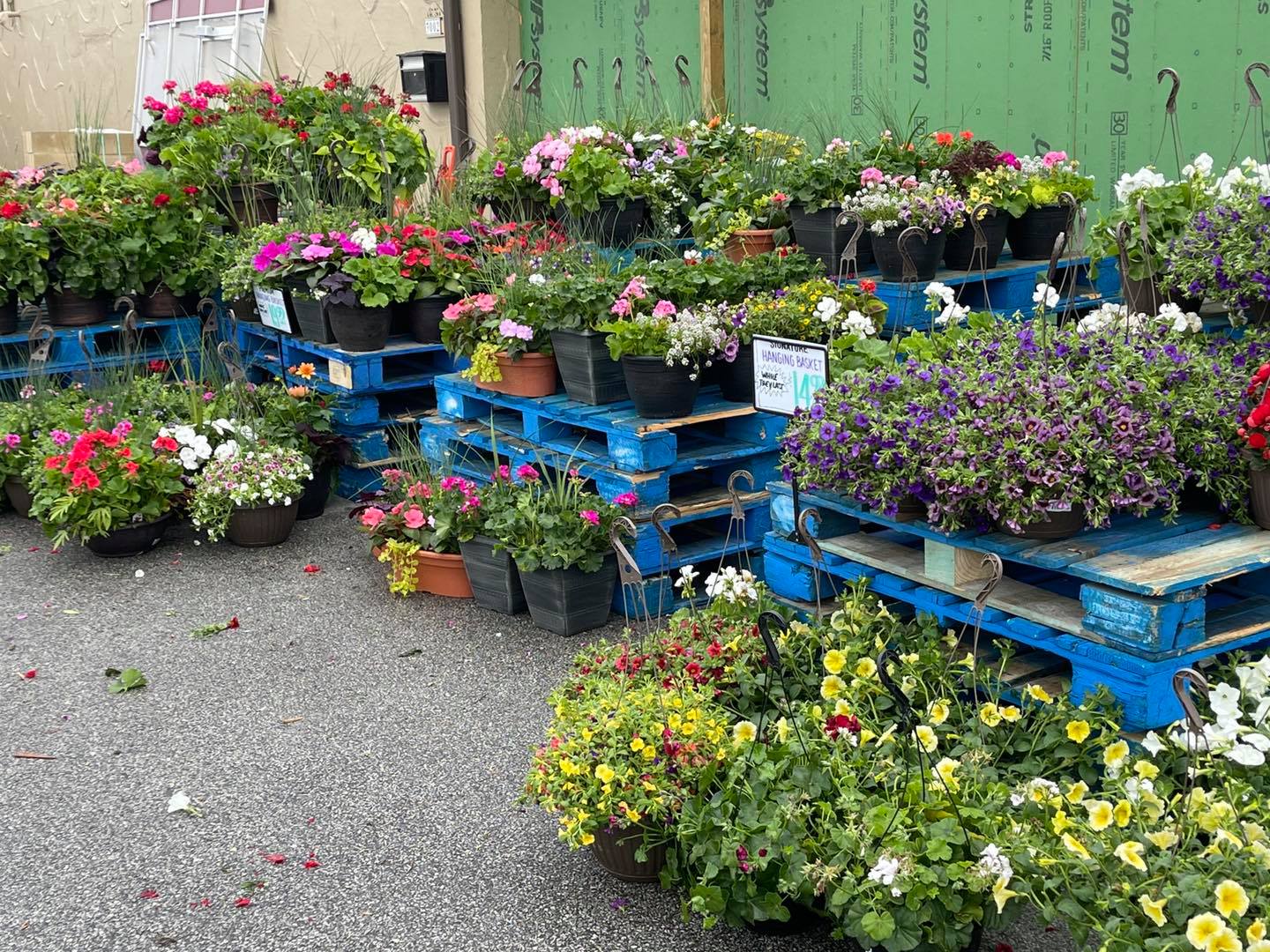 SWEET BERRY FRESH MARKET - Wickliffe OH - Hours, Directions, Reviews ...