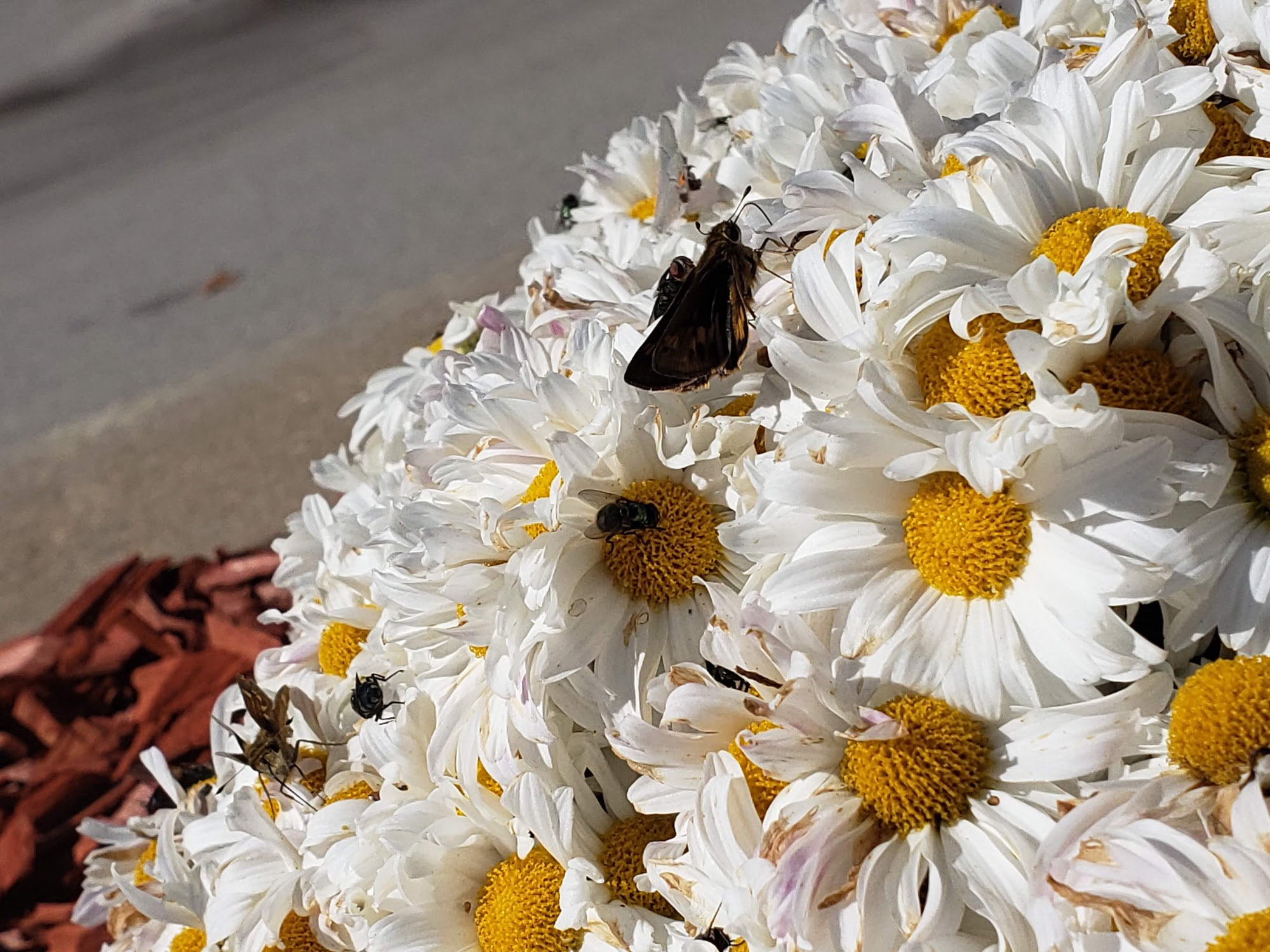 THE RICHARD KANE YMCA - Bartlesville OK - Hours, Directions, Reviews ...