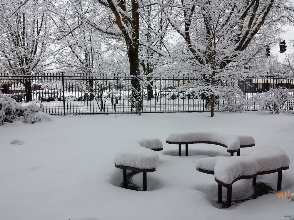 EUGENE PUBLIC LIBRARY - DOWNTOWN - Eugene OR - Hours, Directions ...