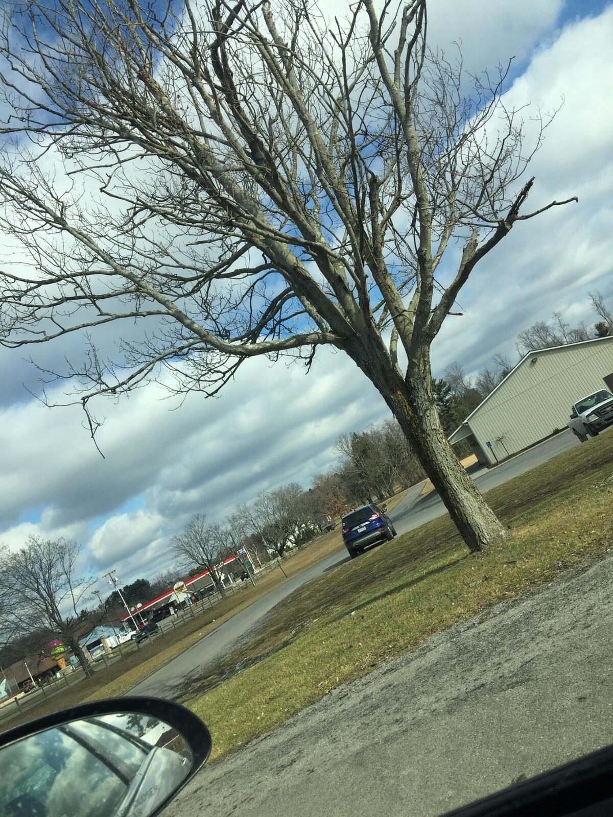 BUTLER FARM MARKET - Renfrew PA - Hours, Directions, Reviews - Loc8NearMe