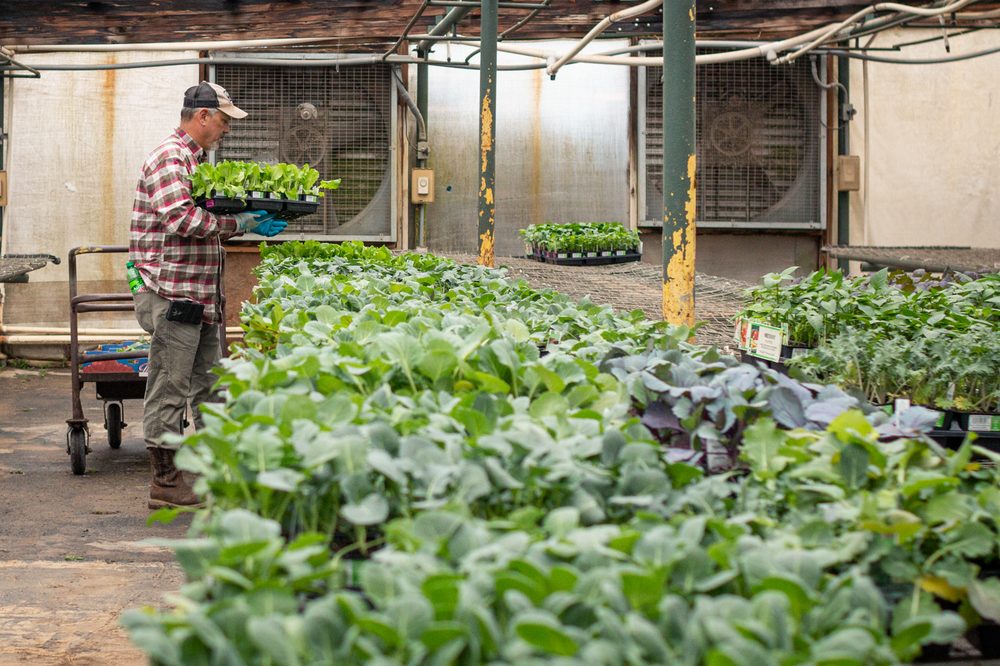 BATES NURSERY AND GARDEN CENTER - Nashville TN - Hours, Directions ...