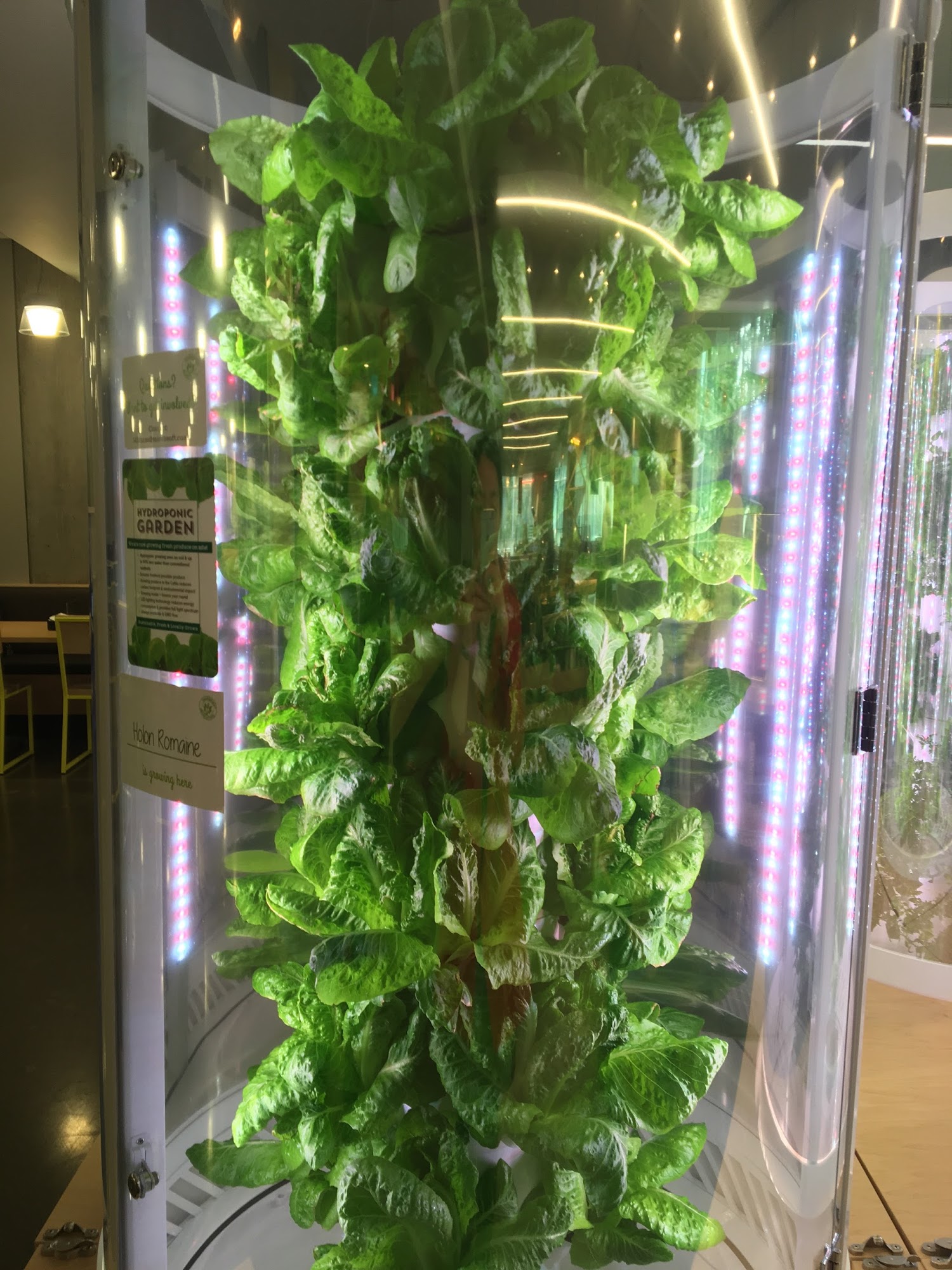 MICROSOFT BUILDING 36 - Redmond WA - Hours, Directions, Reviews ...