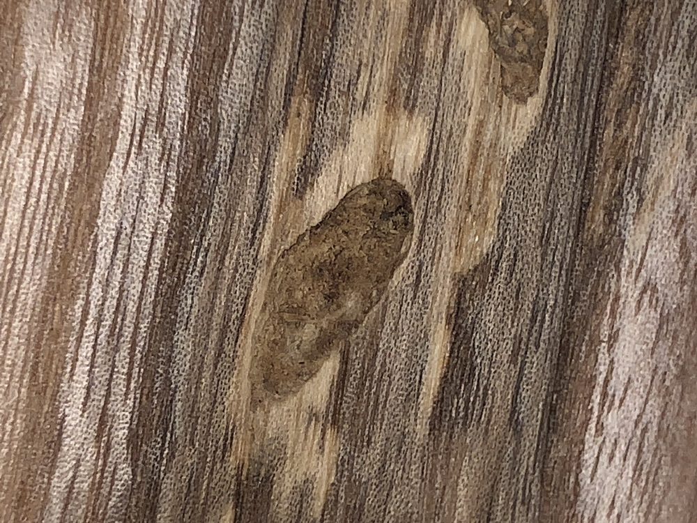 ROOM & BOARD - Seattle WA - Hours, Directions, Reviews - Loc8NearMe